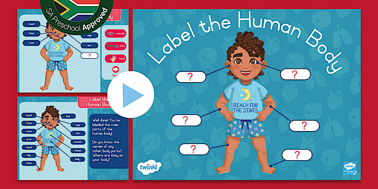 Label the Human Body PowerPoint Game (teacher made) - Twinkl