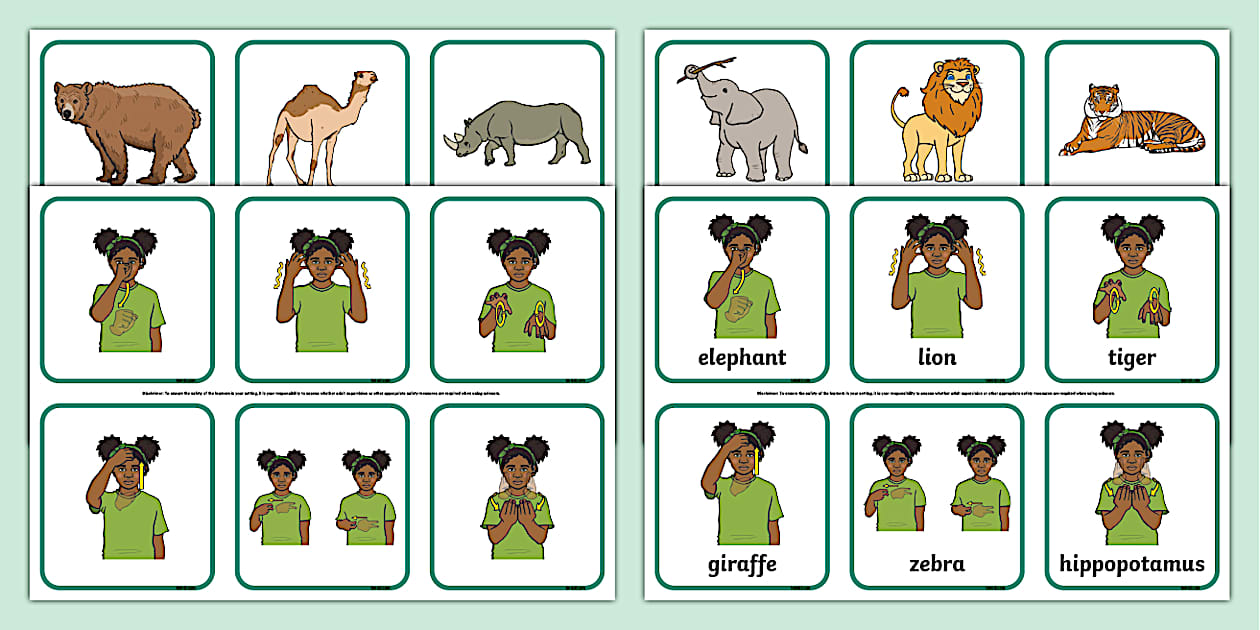 Auslan Zoo Animal Matching Cards