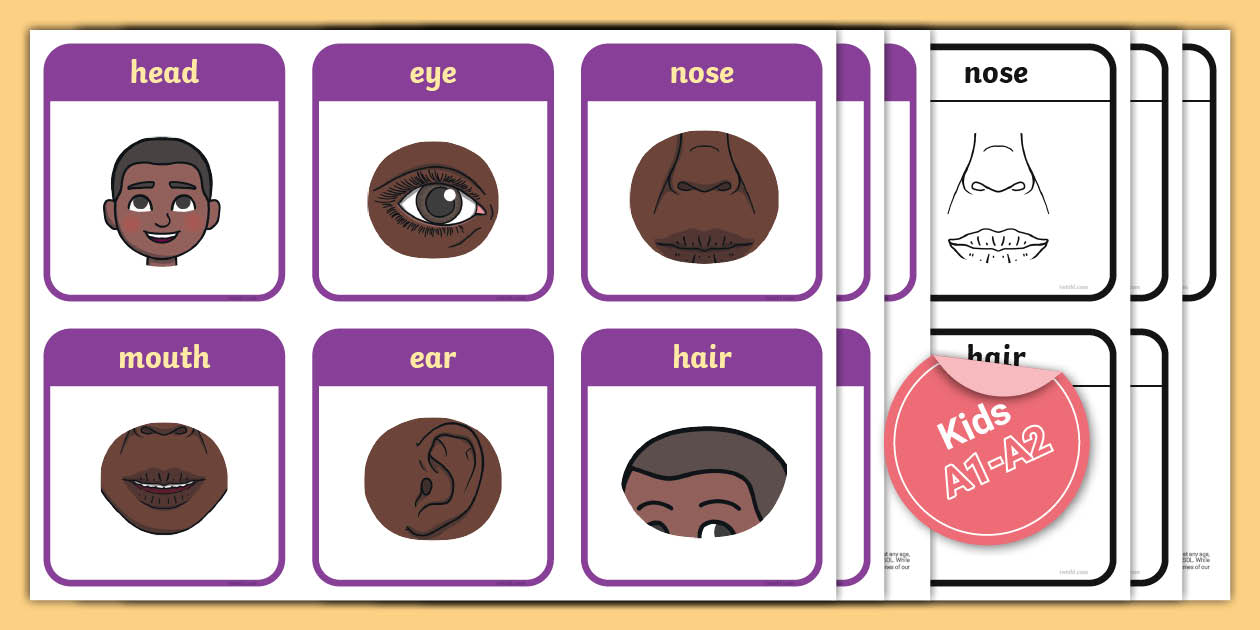 ESL Body Parts Flashcards [Kids, A1-A2] (Teacher-Made)