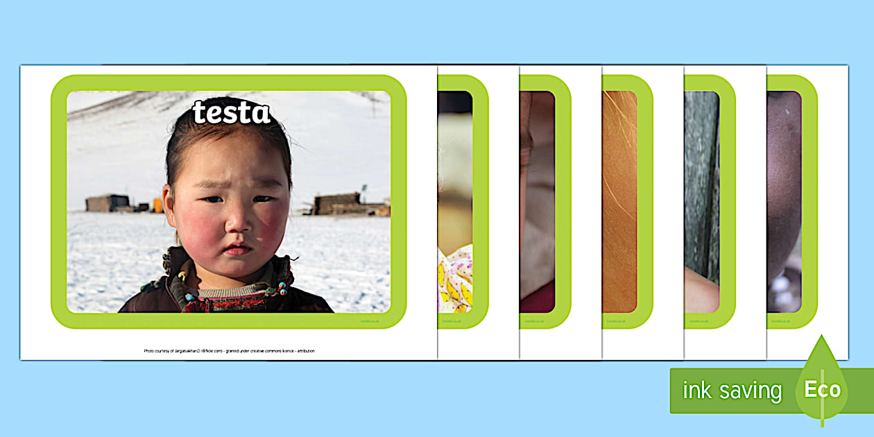 Parti del Corpo Foto con Didascalia Poster - Twinkl