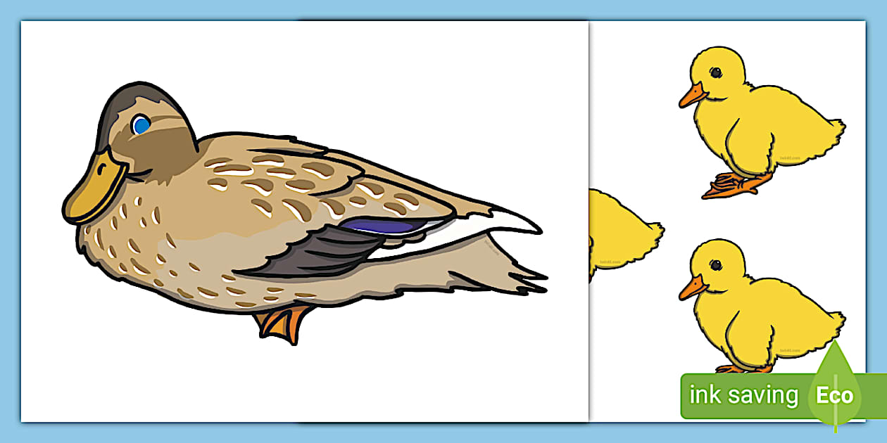 5 Little Ducks Stick Puppets (teacher made) - Twinkl