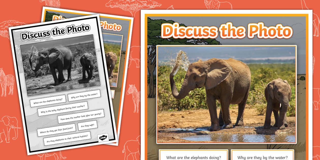 Elephant Scene Photo Discussion Prompt - Twinkl