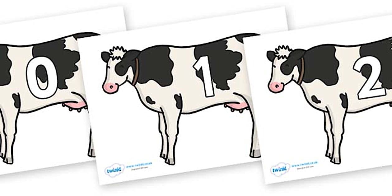 Numbers 0-31 on Cows (Teacher-Made) - Twinkl