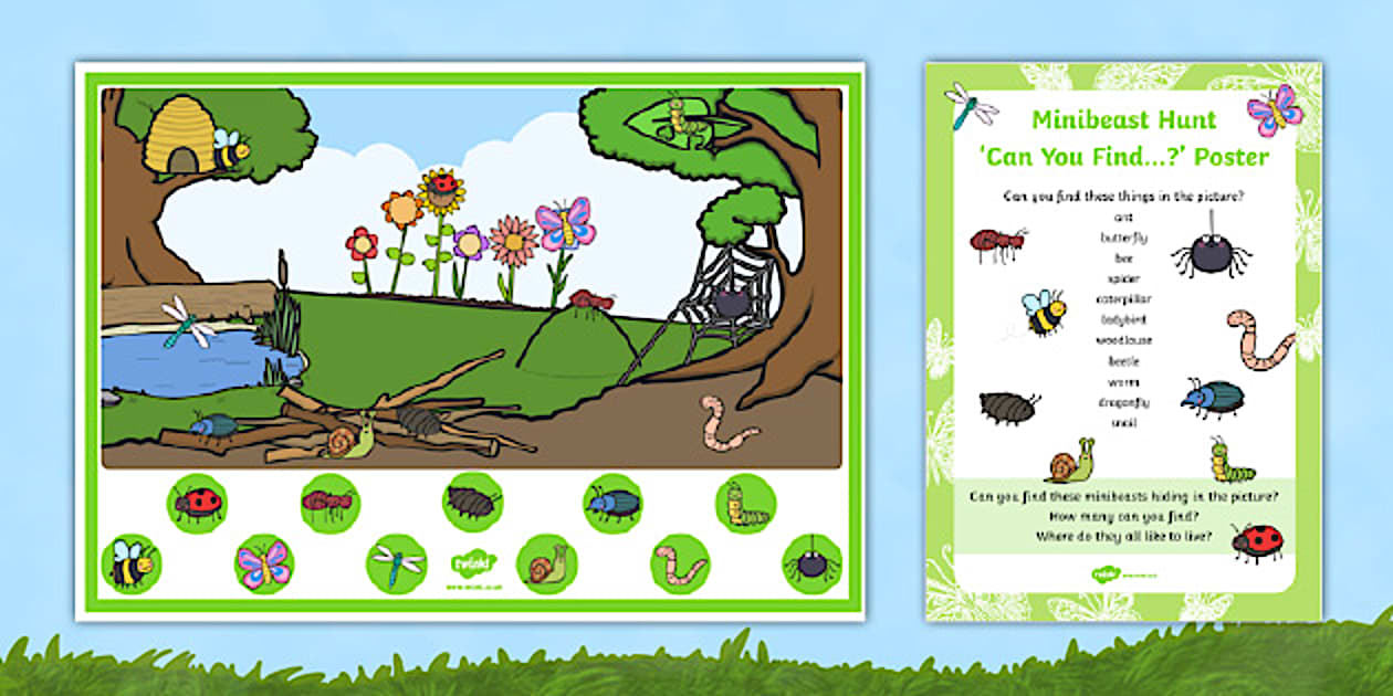 Minibeast Hunt Can You Find Poster and Prompt Card - Twinkl
