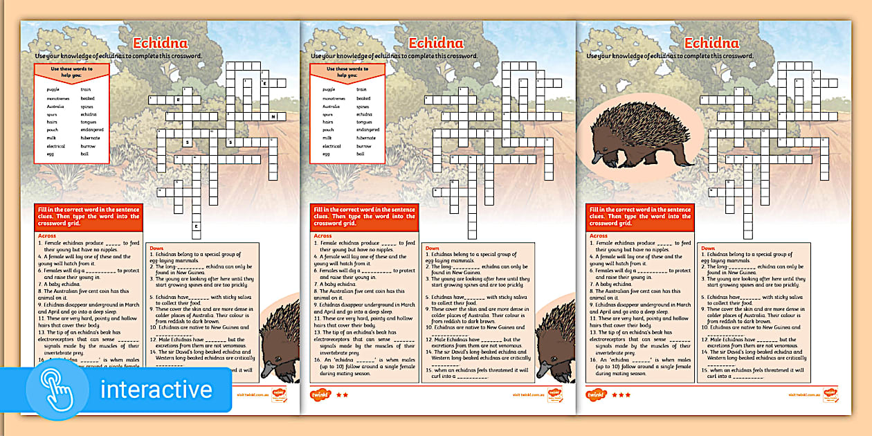 Echidna Interactive Crossword | Biological Science - Twinkl