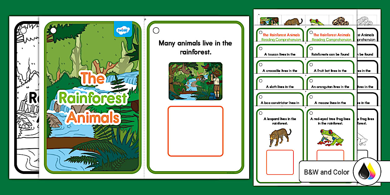 The Rainforest Animals Adapted Reader (teacher made)
