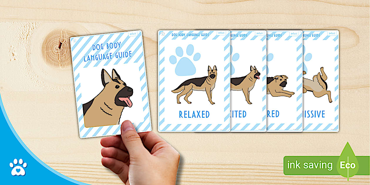 Dog Body Language Guide - Display Cards (Teacher-Made)