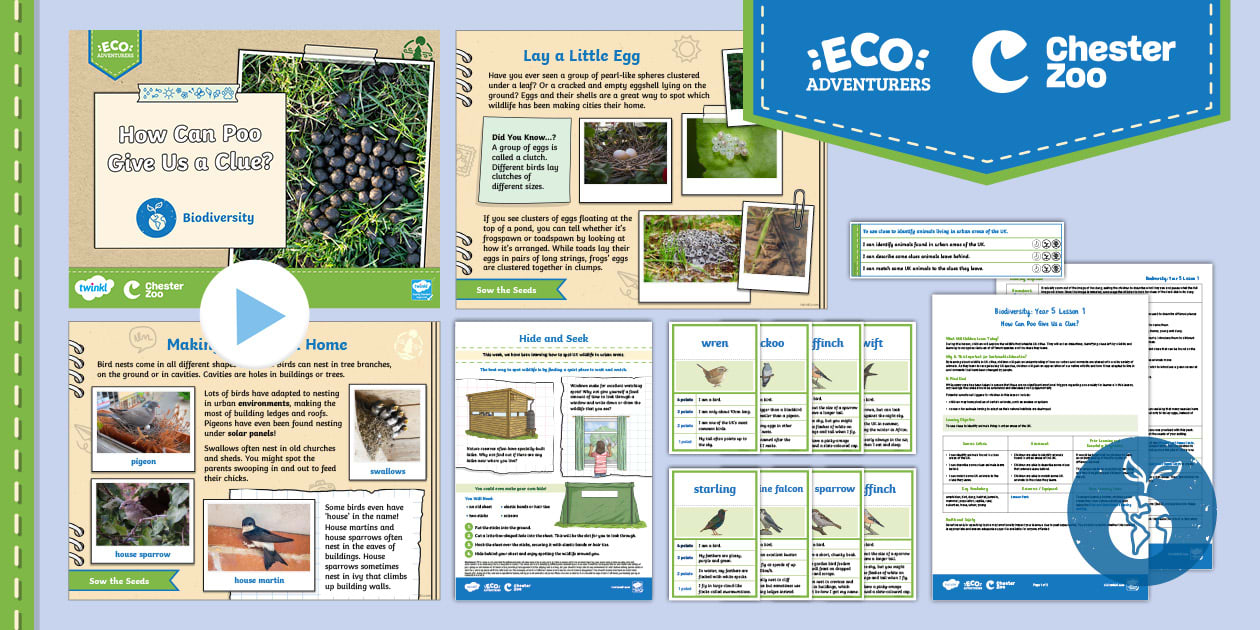 FREE! - Year 5 Biodiversity Lesson: Poo Clues (teacher made)