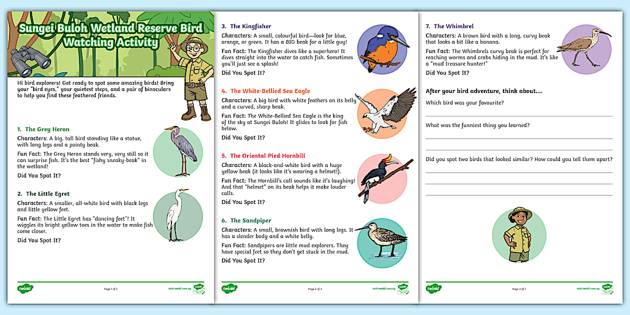 Sungei Buloh Bird Watching Activity (teacher made) - Twinkl