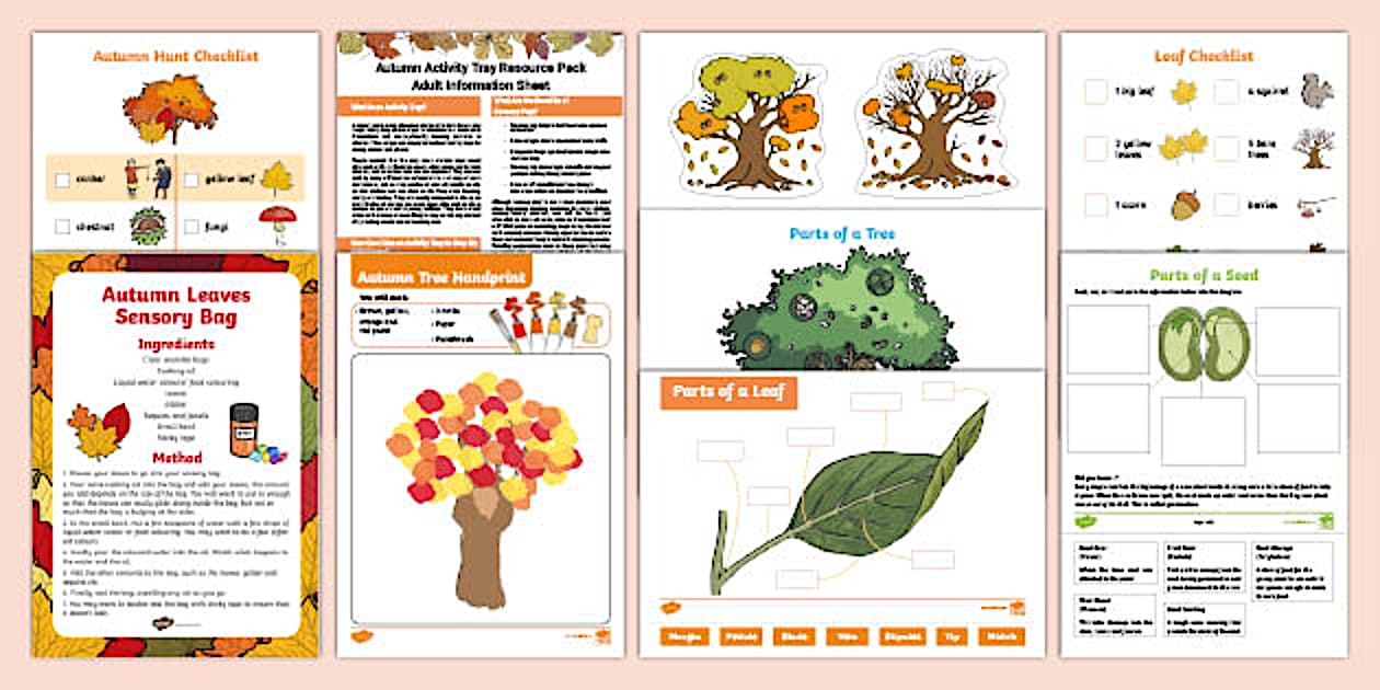 Autumn Activity Tray Resource Pack | Season Lapbook | Twinkl
