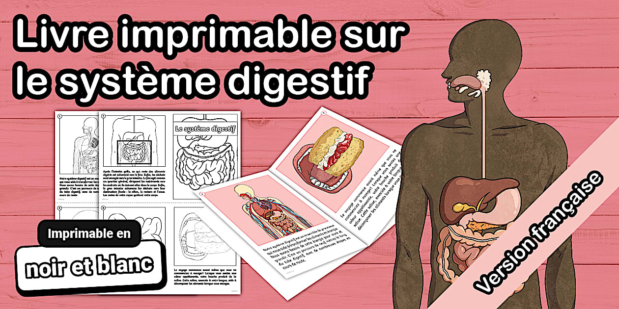 Digestive System Printable Book French