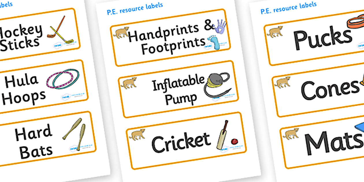 Puma Themed Editable PE Resource Labels (Teacher-Made)