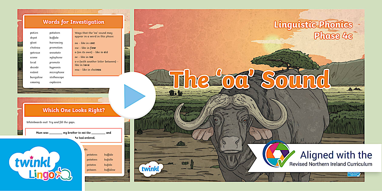 oa Phonics PowerPoint - Primary Resources KS2 (teacher made)