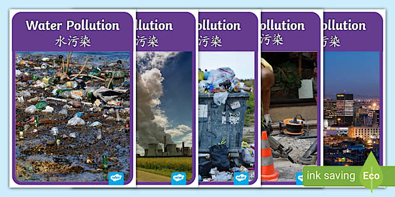 Types of Pollution Poster KS1 English/Mandarin Chinese