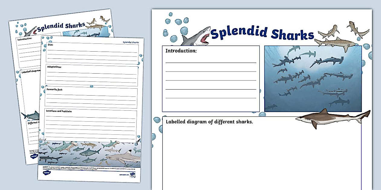 Sharks Non-Chronological Report Template (Teacher-Made)