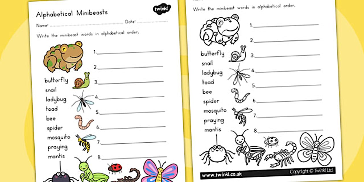 Minibeasts Cute Alphabet Ordering Worksheet (teacher made)