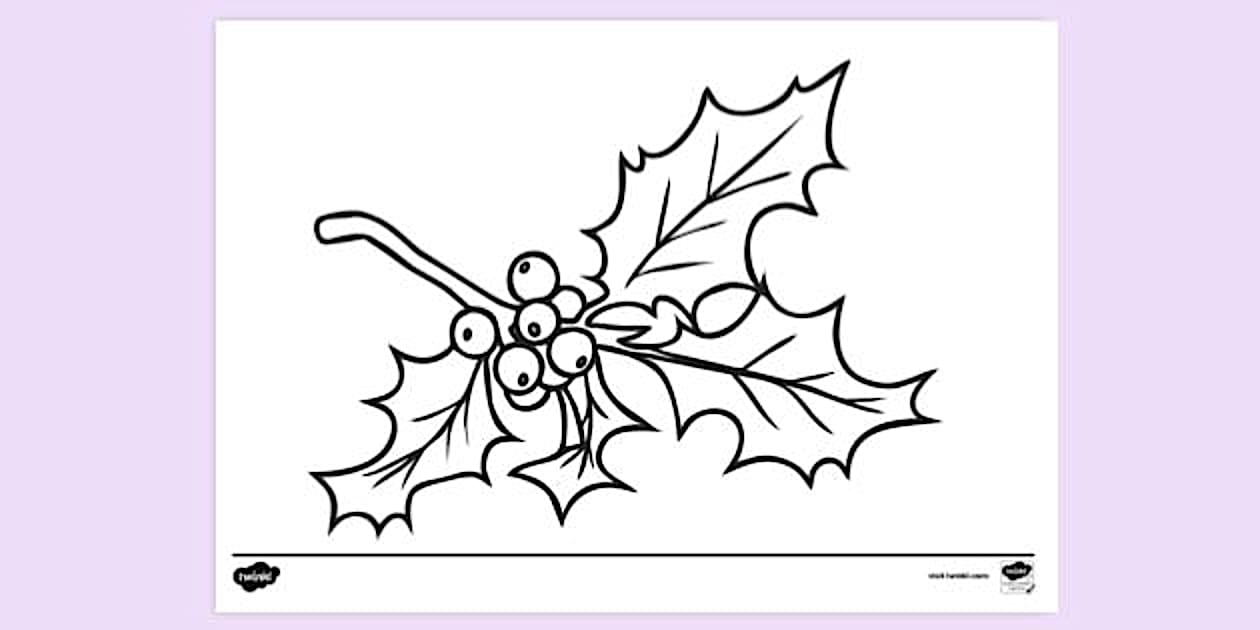 Christmas Holly Colouring Page | Colouring Sheets