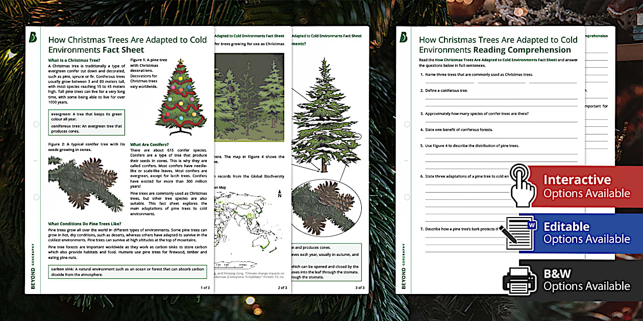 How Christmas Trees Adapt to Cold Environments Reading Comprehension