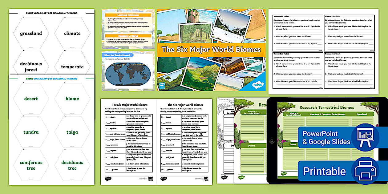 Sixth Grade Let's Explore Biomes Science Lesson Pack