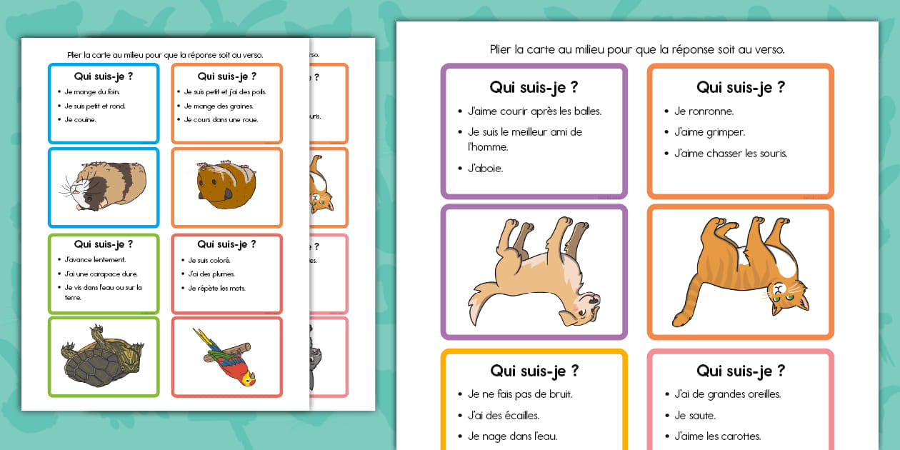 Les animaux domestiques - Qui suis-je? - Twinkl