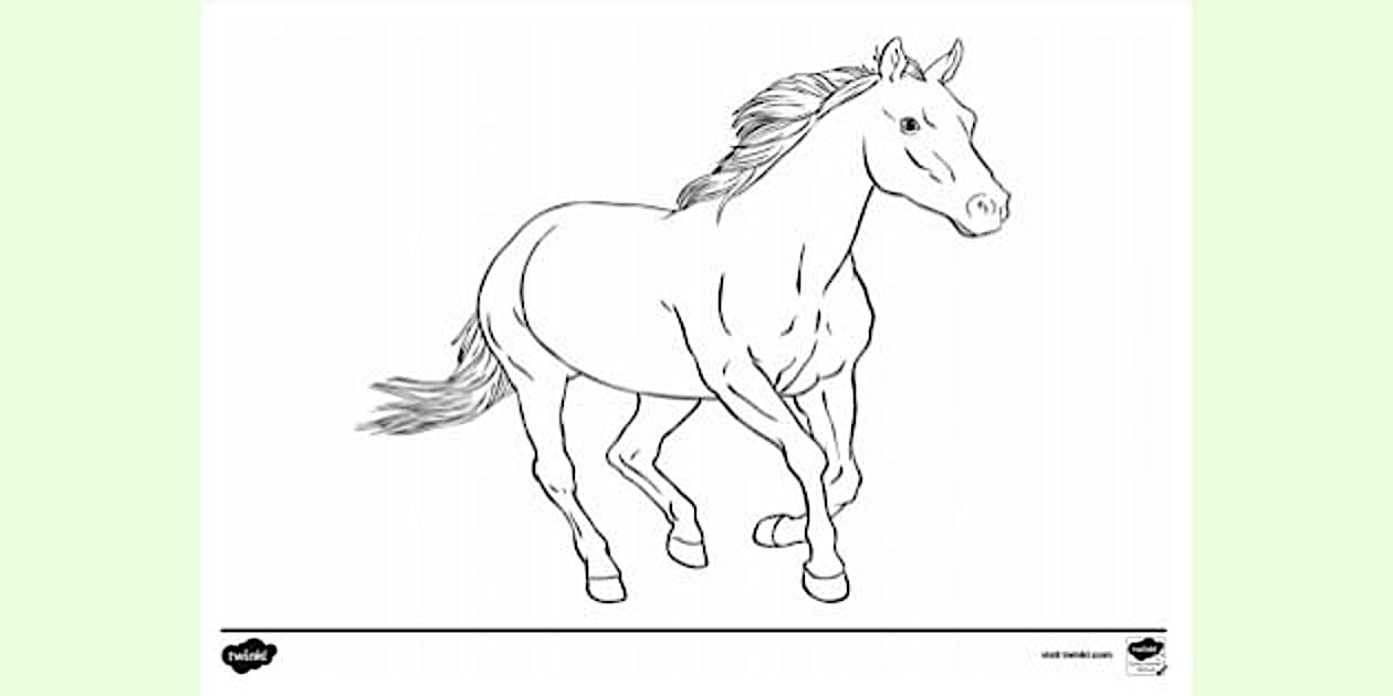 Horse Colouring | Colouring Sheets (teacher made) - Twinkl