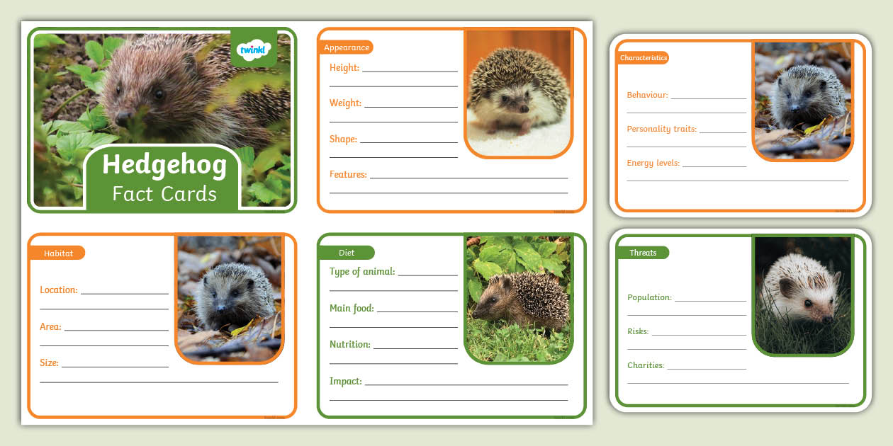 Hedgehog Fact Cards Template - Twinkl Science (teacher made)