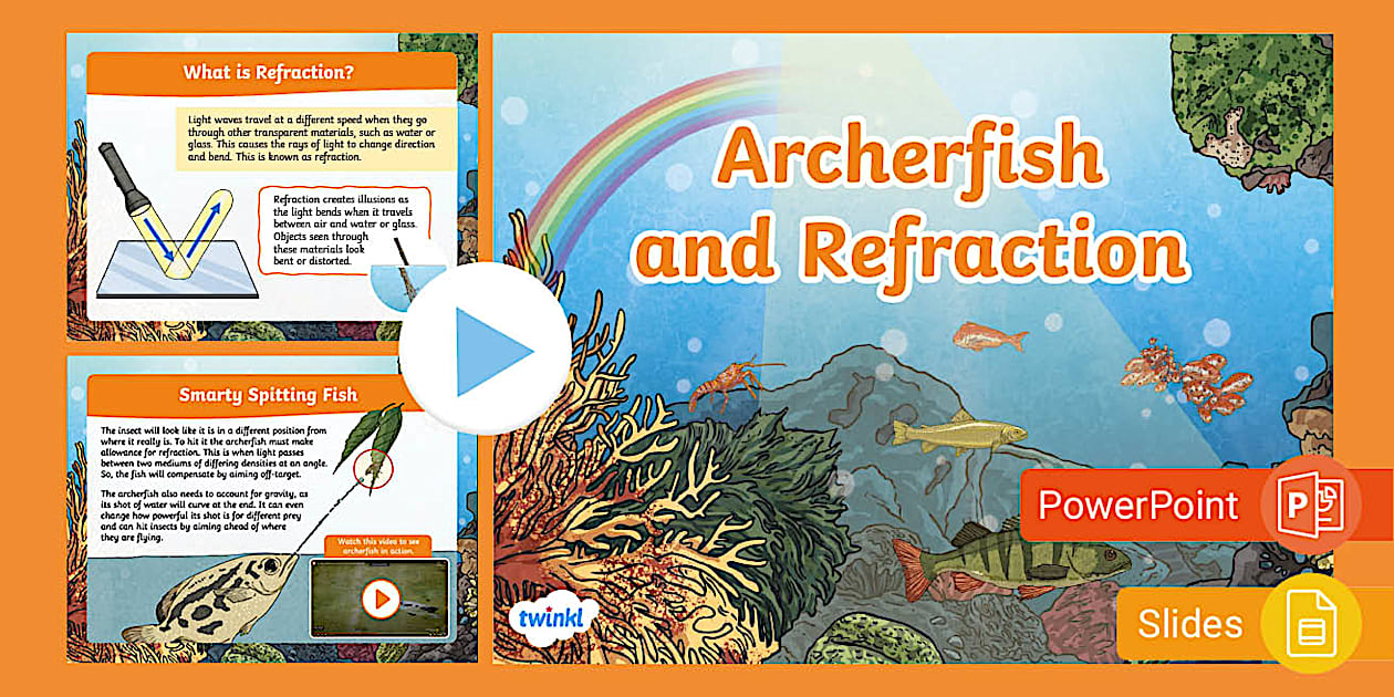 Archerfish and Refraction PowerPoint (teacher made) - Twinkl