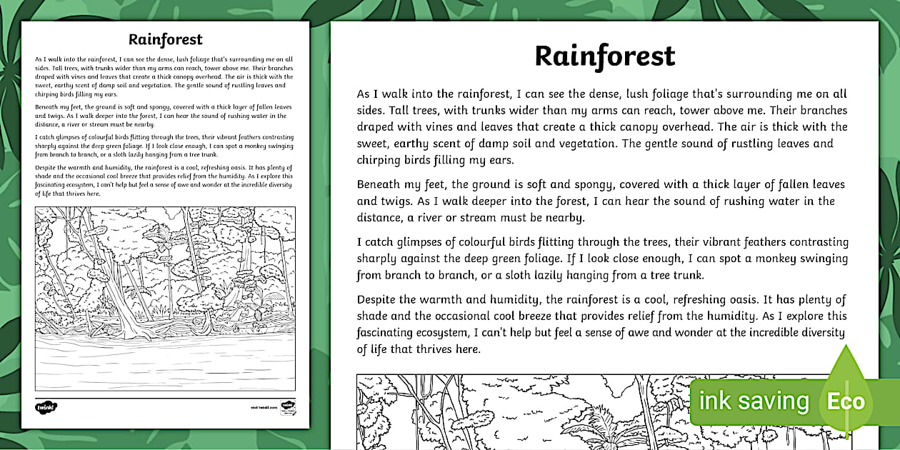 Rainforest Setting Description Example Text (teacher made)