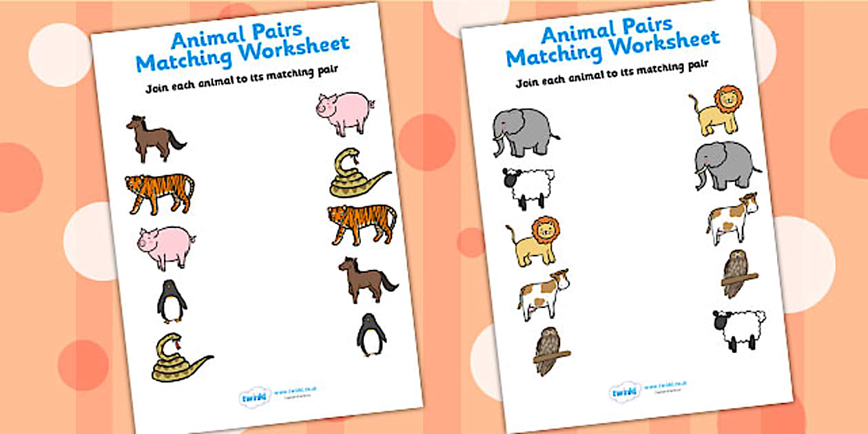 Animal Pairs Matching Worksheets (teacher made) - Twinkl