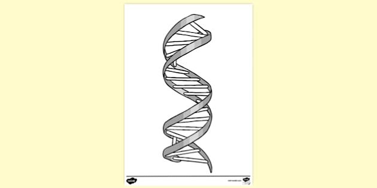 Colouring | Colouring Sheets (teacher made) - Twinkl