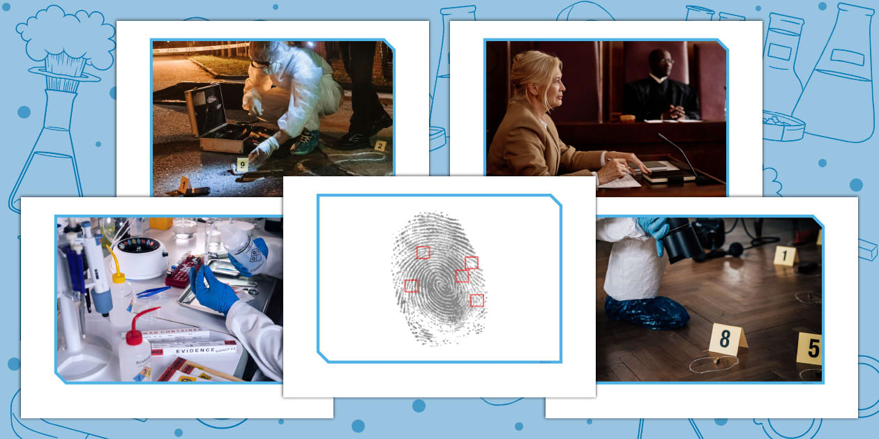 STEM Jobs: Forensic Scientist Display Photos