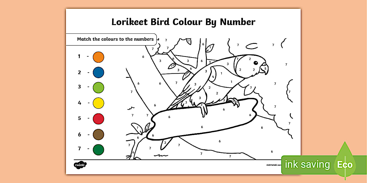 Lorikeet Bird Colour-By-Number Page | Twinkl | Colouring KS1