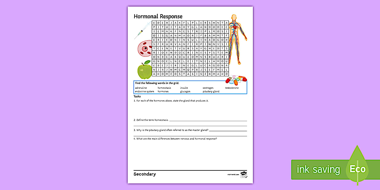 Hormonal Response Word Search (teacher made) - Twinkl
