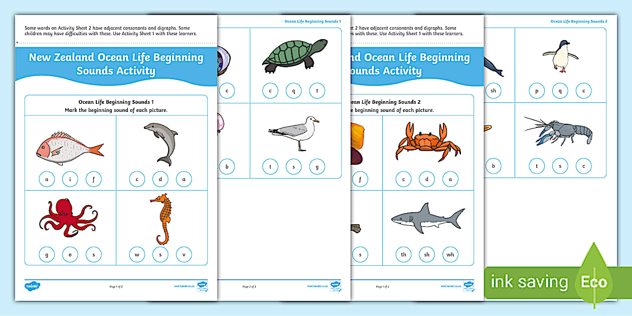 New Zealand Ocean Life Beginning Sounds Activity - Twinkl