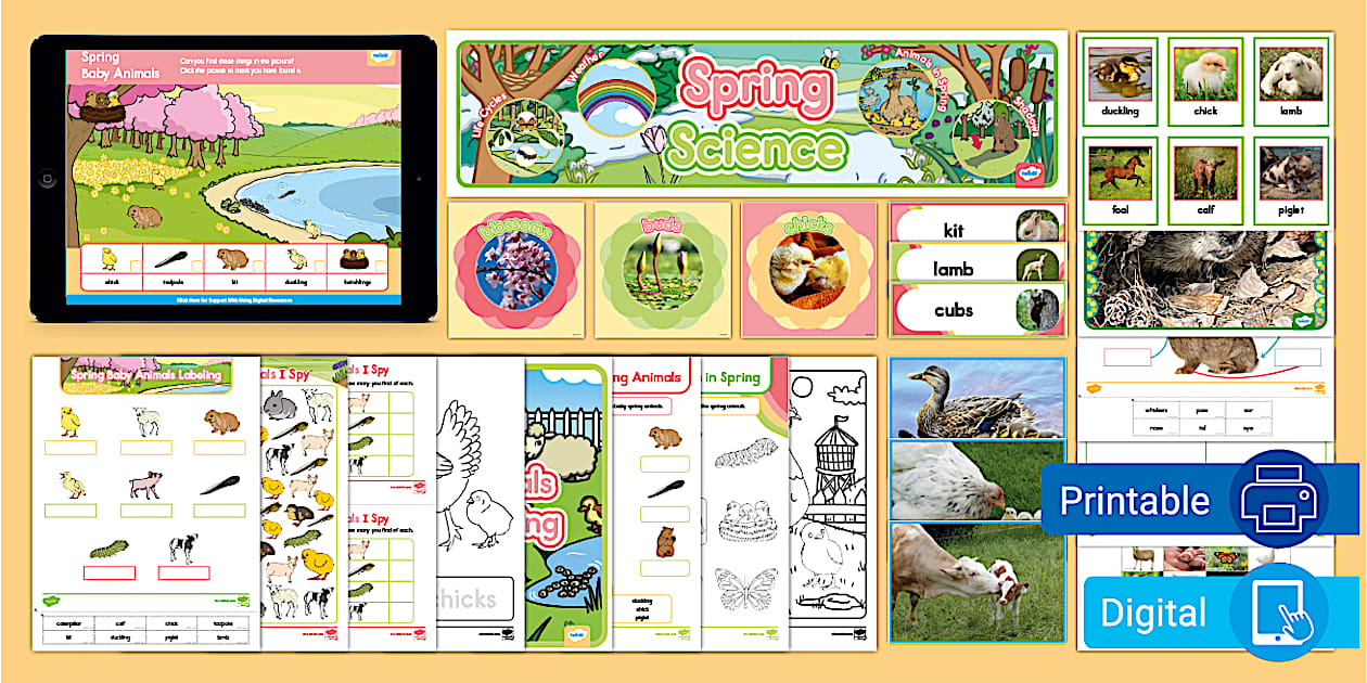 Animals in Spring Science Learning Center Activity Pack