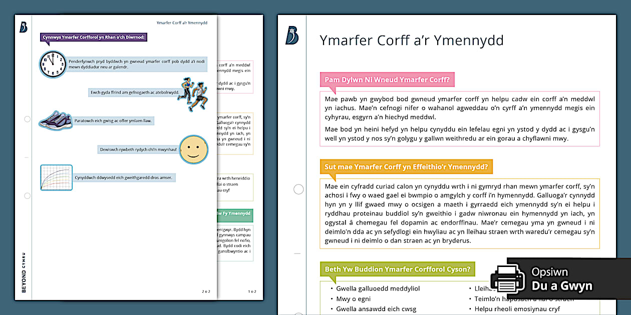 Ffeithlun Yr Ymennydd ac Ymarfer Corff (Teacher-Made)