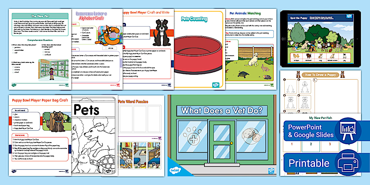 Pets Activity Pack for PreK-K (teacher made) - Twinkl
