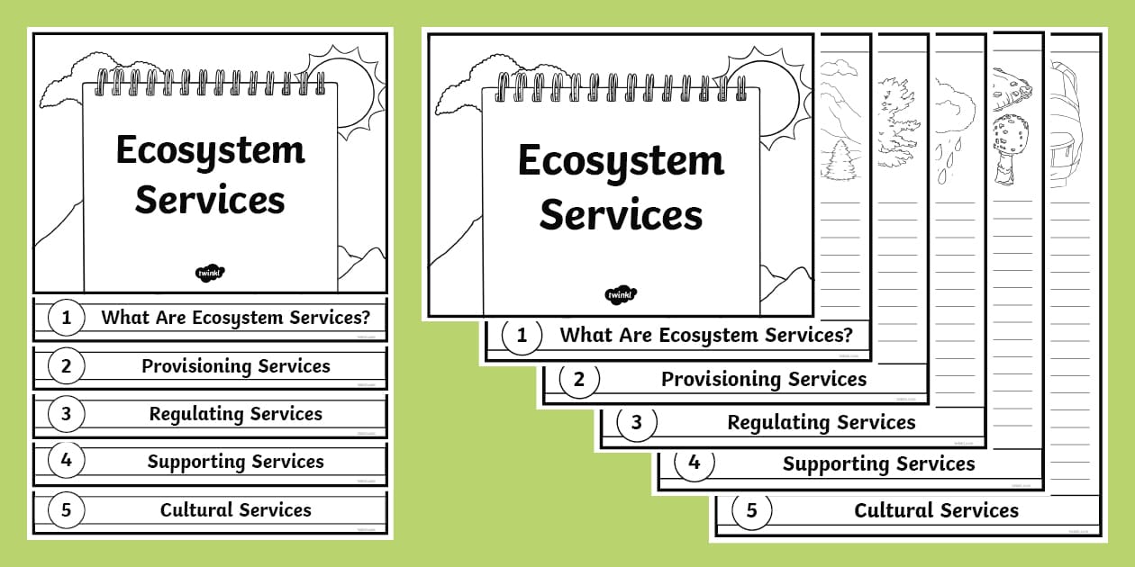 Ecosystem Services Note-Taking Flipbook for 6th-8th Grade
