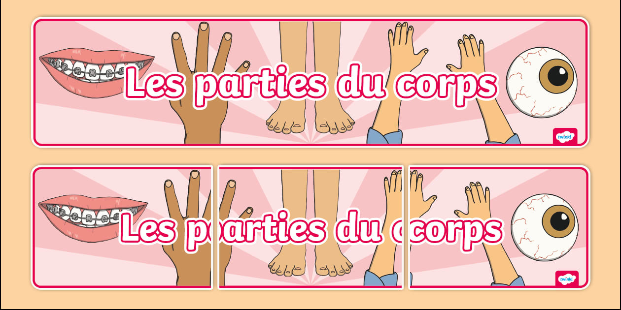 Banderole d'affichage : Les parties du corps (Teacher-Made)