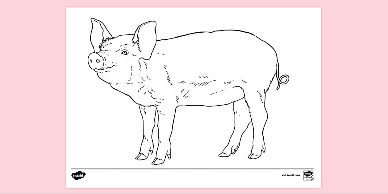 Printable Realistic Animal Colouring Page | Colouring Sheets
