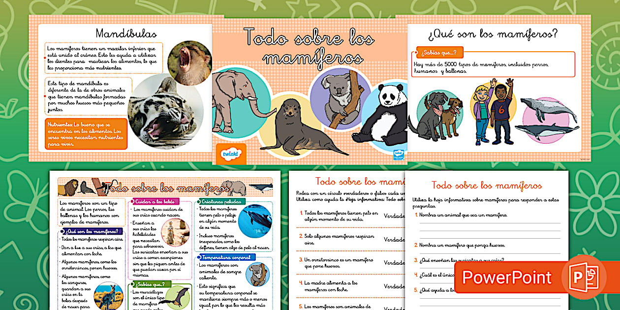 Pack de recursos: Todo sobre los mamíferos - Twinkl