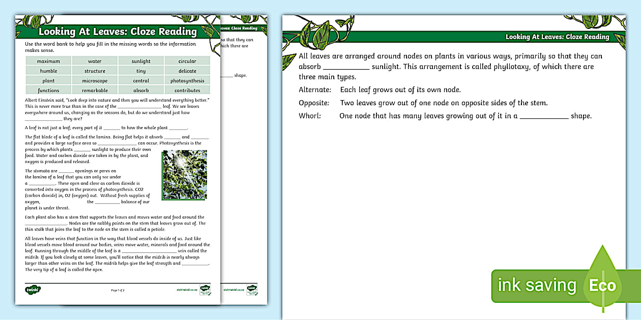 Looking At Leaves - Cloze Reading - Twinkl