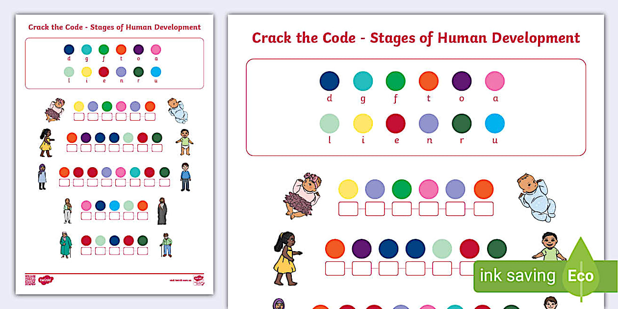 Crack the Code - Stages of Human Development - Twinkl