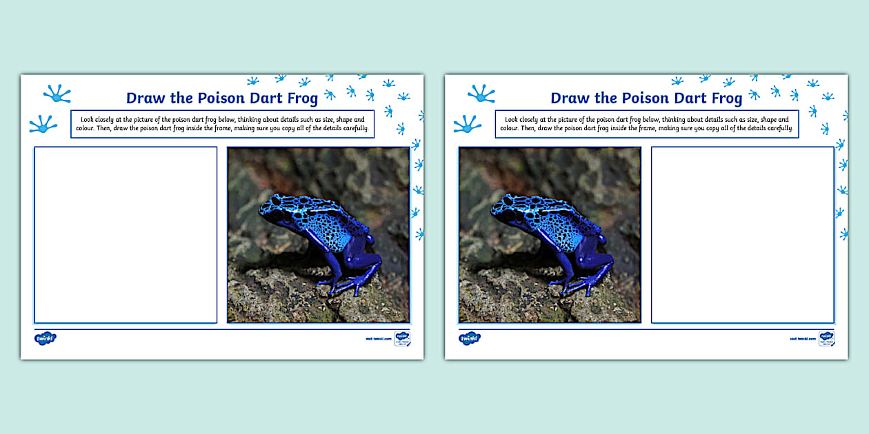 Draw the Poison Dart Frog Art Activity (teacher made)