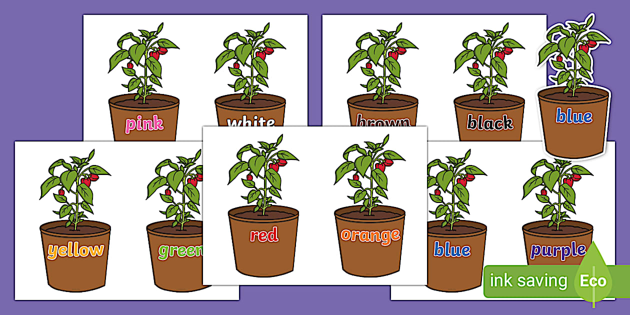 Florist Colors On Plant Pots Posters (Teacher-Made) - Twinkl