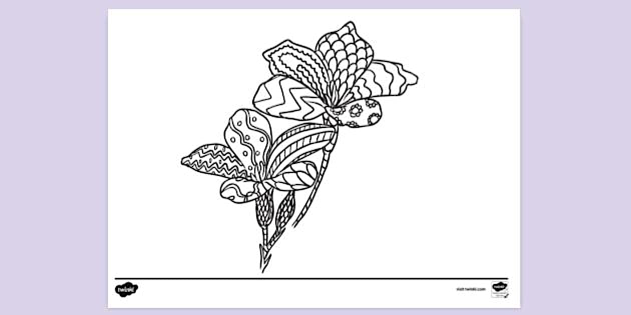 Activity Colouring Page Printable (teacher made) - Twinkl