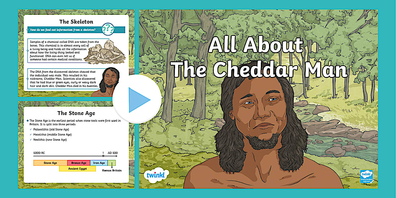 KS2 Stone Age - All About The Cheddar Man PowerPoint