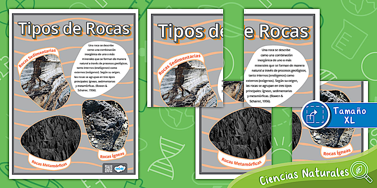 Póster | Tipos de Rocas | Sedimentaria | Ígnea | 7° Básico