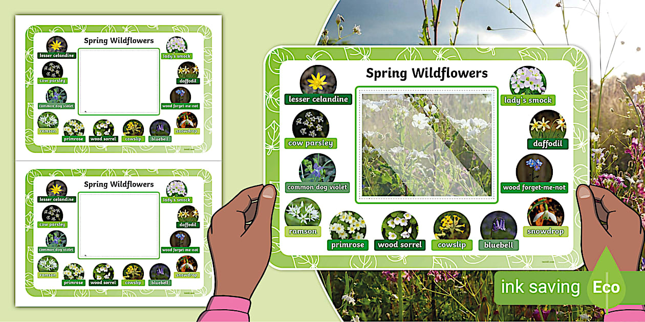 I Spy Nature Frame: Spring Wildflowers (teacher made)