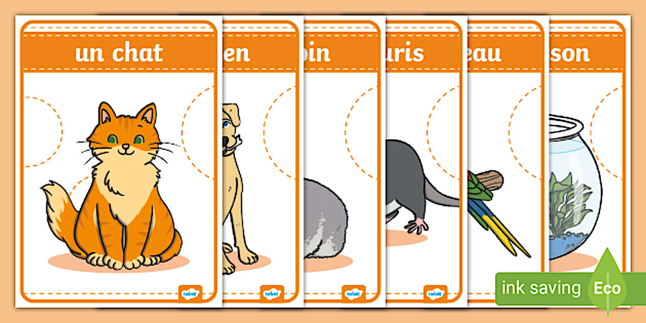 French Pets Display Posters (teacher made) - Twinkl